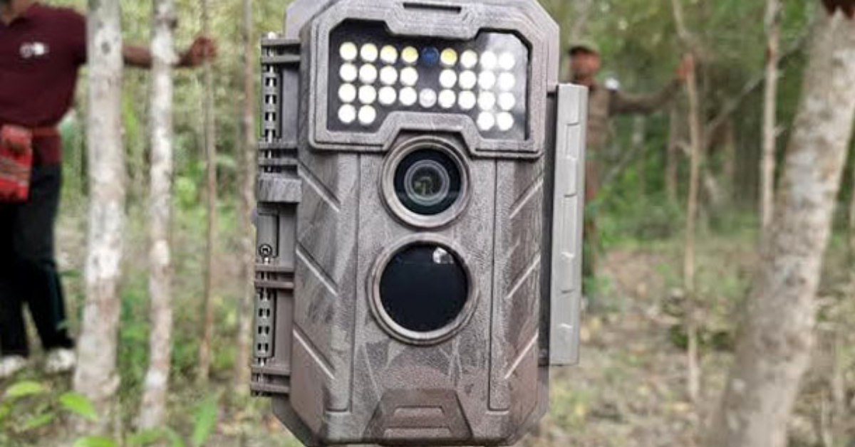 Tiger Census Begins with ‘Camera-Trapping’ - Renew Earth News